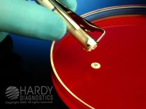 HardyDisk Bacitracin Disk | Medline Industries, Inc.