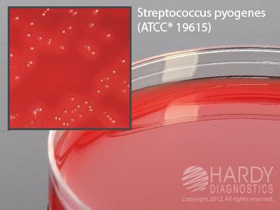 Selective Strep Agar | Medline