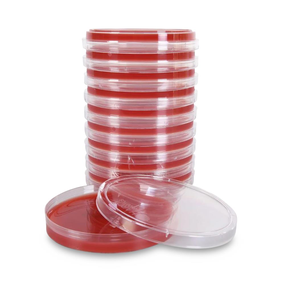 Hardy Diagnostics Blood Agar Plate 5% Sheep Blood Base | Medline