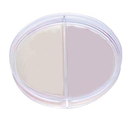 Derm-Duet RSM/DTM Culture Plates | Medline