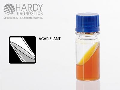 DTM Agar Slant | Medline