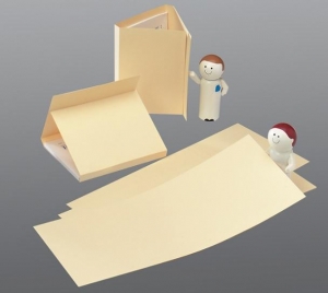 Prescription File Folders | Medline Industries, Inc.