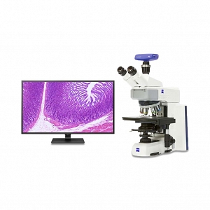 Microscope World Trinocular Pathology Microscopes | Medline Industries ...