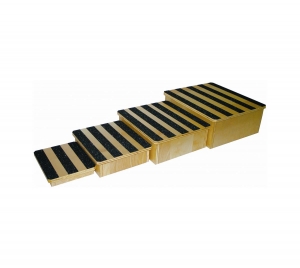 Birch Physical Therapy Steps | Medline