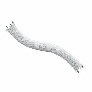FLUENCY Plus Endovascular Stents | Medline
