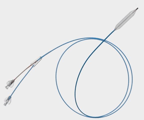 Conquest PTA Dilatation Catheters | Medline