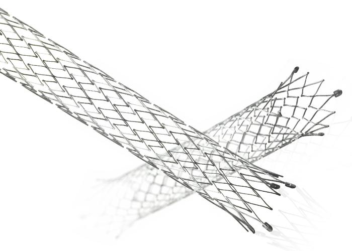 LifeStar Vascular and Biliary Stent System | Medline