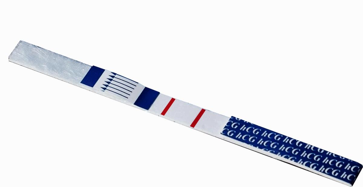 Jant Urine hCG Pregnancy Test Strip and Device | Medline