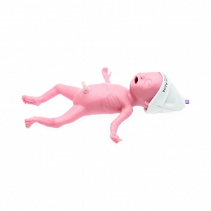 Standard Premature Anne Manikin | Medline Industries, Inc.