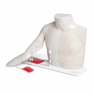 Chester Chest with Advanced Arm Educational Model by Laerdal | Medline ...