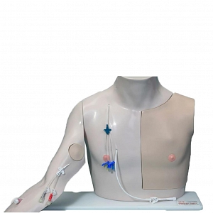 Chester Chest Manikins with Standard Arm | Medline