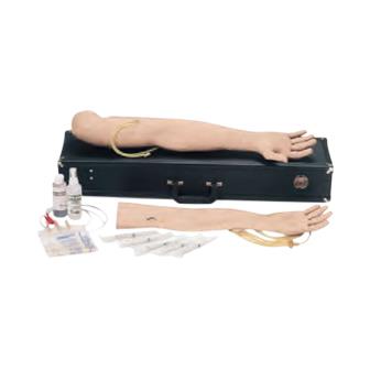 Multivenous IV Training Arm Kit | Medline