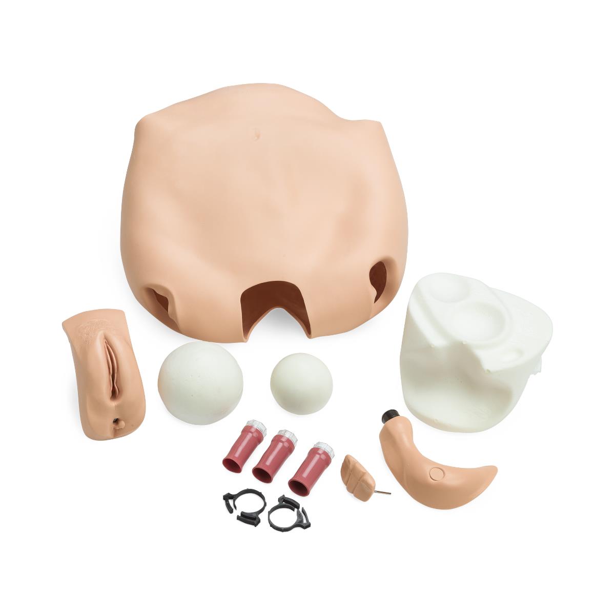 Interchangeable Catheterization and Enema Trainers | Medline