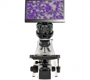 BioVIEW Microscope Camera and Monitor by LW Scientific | Medline ...