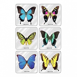 Foil Butterflies Stickers | Medline Industries, Inc.