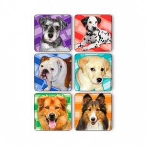 Puppy Dog Photos Stickers | Medline Industries, Inc.