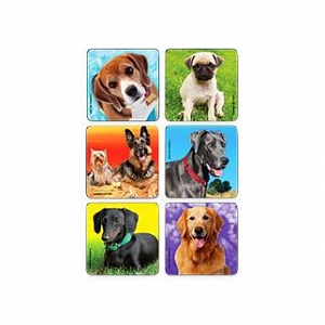 Animal Photos Stickers | Medline Industries, Inc.