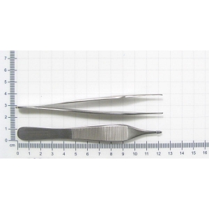 Ewald Tissue Forceps | Medline Industries, Inc.