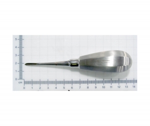 Oral Surgery Elevators | Medline Industries, Inc.