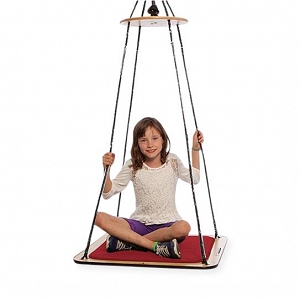 TheraGym Swings | Medline Industries, Inc.
