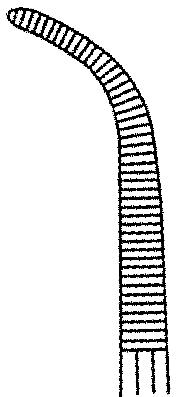 König Lawrence Forceps | Medline