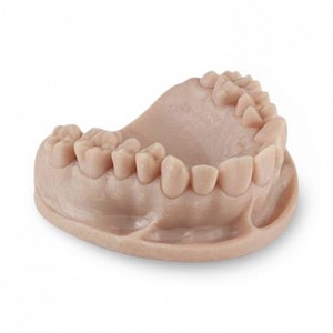 Keystone Keyprint Dental Key Models | Medline Industries, Inc.