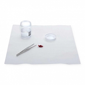 Formalin Neutralizing Mat | Medline Industries, Inc.