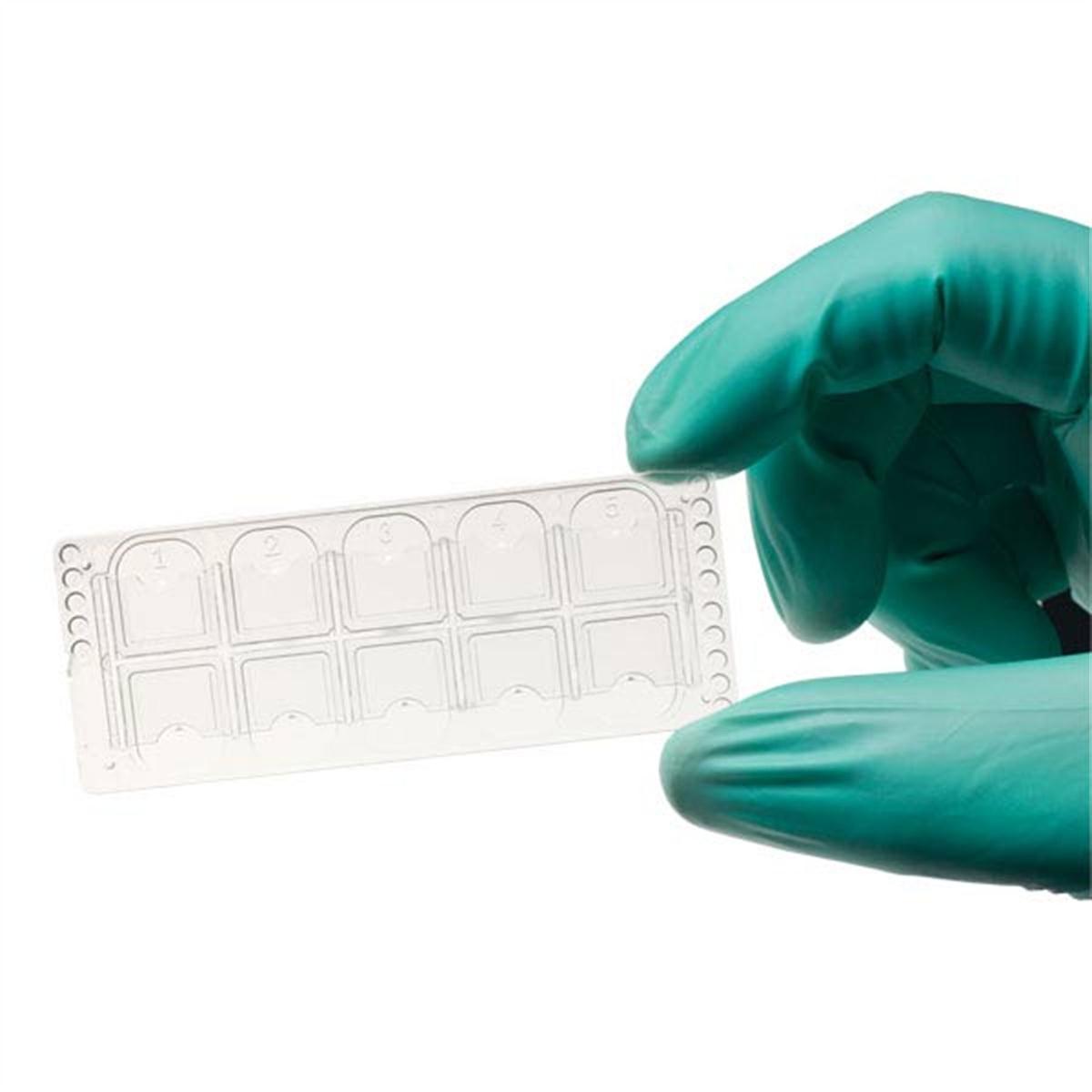 Mark Quick Read Cell Urinalysis Slide | Medline