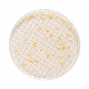 Prefilled Milliflex Cassette | Medline Industries, Inc.
