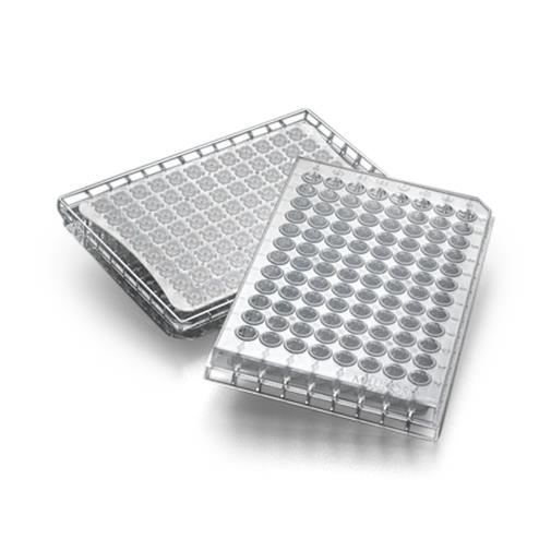 MultiscreenHTS BV Filter Plates | Medline