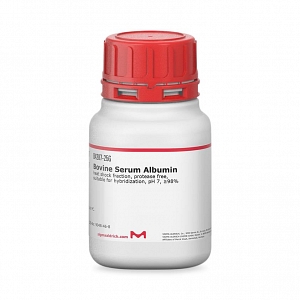 Bovine Serum Albumin Solution | Medline Industries, Inc.