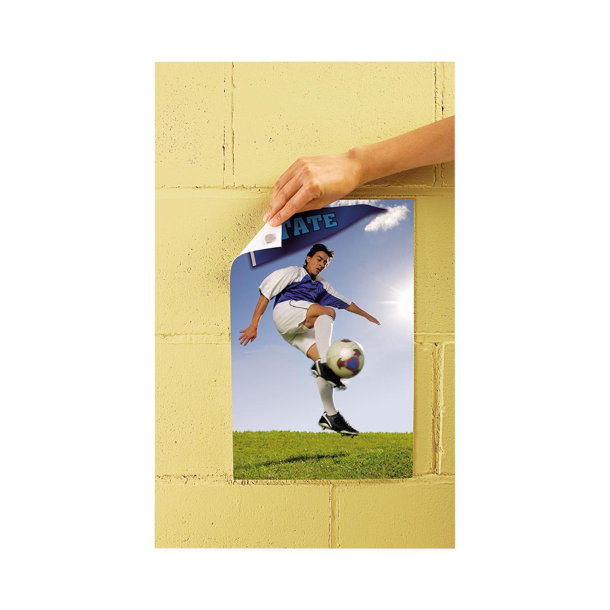 3M Adhesive Putty | Medline