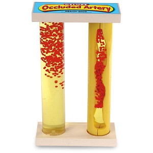 Deluxe Occluded Artery Models | Medline Industries, Inc.