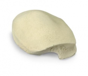 Replacement Pad for Life / form Venipuncture and Injection Arms ...