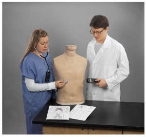 Life / form Auscultation Trainer Manikins and Smartscope | Medline ...