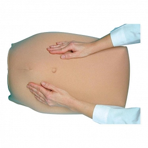 Health Edco Abdominal Palpation Training Model | Medline