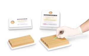 Two-Vein Venipuncture Training Aid | Medline Industries, Inc.