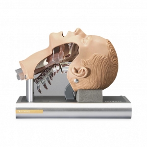 Ambu Intubation Trainer | Medline