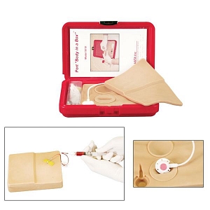 Body in a Box Port Placement Educational Model | Medline Industries, Inc.