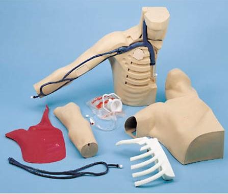 Peter PICC Line Training Manikin | Medline