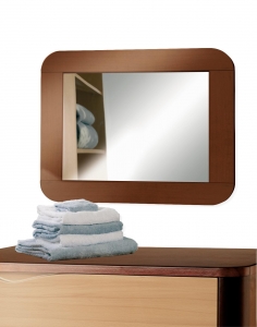 Acumen Behavioral Health Wall Mirror | Medline Industries, Inc.