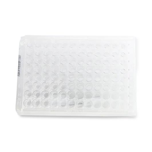 Premier EHEC Enzyme Immunoassay (EIA) Test Kit | Medline