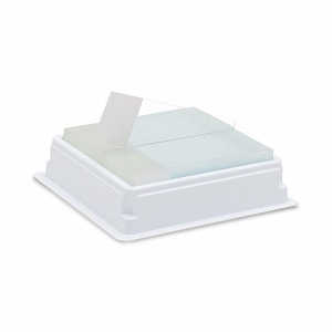 Millennia 2.0 Adhesion Microscope Slides | Medline Industries, Inc.