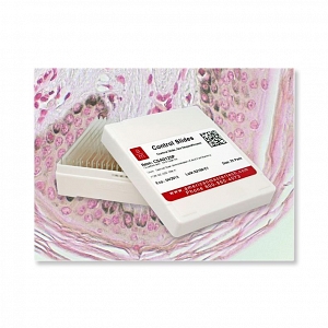 StatLab Skin Control Slides | Medline Industries, Inc.