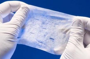 Cytal 1-Layer Wound Matrix by ACell | Medline Industries, Inc.