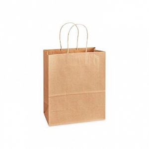Recycled Paper Shopping Bags | Medline Industries, Inc.