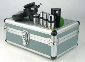 Phase Set with Plan Phase Objectives | Medline Industries, Inc.
