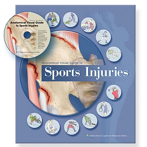 Anatomical Visual Guide to Sports Injuries | Medline Industries, Inc.