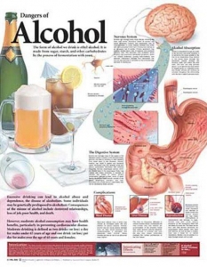 Dangers of Alcohol Chart | Medline Industries, Inc.