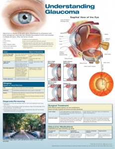 Understanding Glaucoma Anatomical Chart | Medline Industries, Inc.